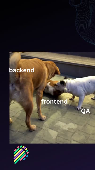 Louis Diur Kapend on LinkedIn: frontend vs backend vs QA vs bugs Louis Diur Kapend on LinkedIn: frontend vs backend vs QA vs bugs