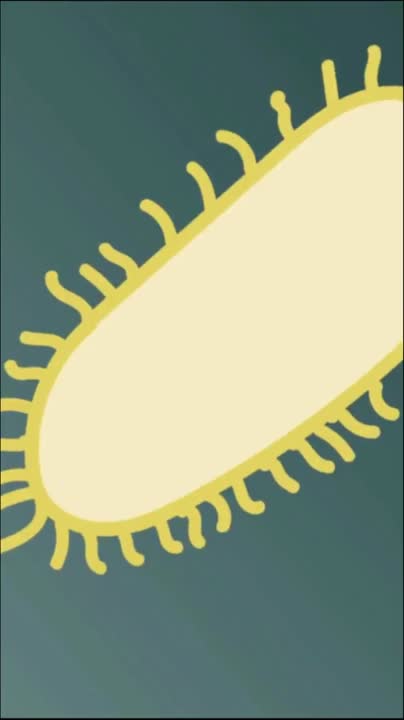 CRISPR BIOTECH ENGINEERING on LinkedIn: #genomics CRISPR BIOTECH ENGINEERING on LinkedIn: #genomics