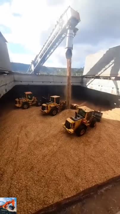 Eric Ramírez Barreto 🌊 on LinkedIn: Different type of bulk marine ... Eric Ramírez Barreto 🌊 on LinkedIn: Different type of bulk marine ...