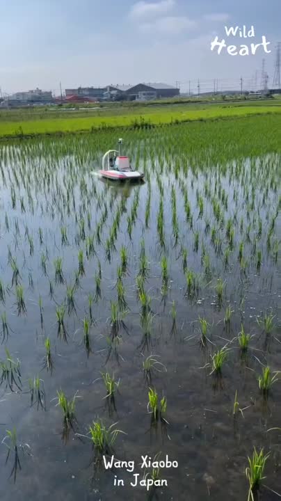 Balaji Vasudevan on LinkedIn: Automation in rice farming Balaji Vasudevan on LinkedIn: Automation in rice farming