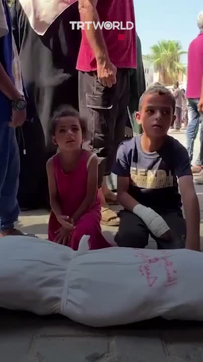 Zinhom Mahmoud on LinkedIn: Stop Palestinians Genocide Zinhom Mahmoud on LinkedIn: Stop Palestinians Genocide
