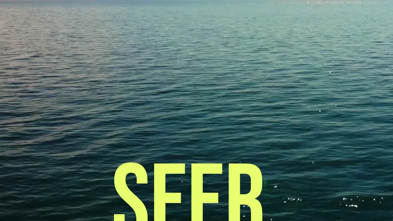 Mahad Hameed on LinkedIn: #seer #vos #yolov8 #computervision #fullstack ... Mahad Hameed on LinkedIn: #seer #vos #yolov8 #computervision #fullstack ...