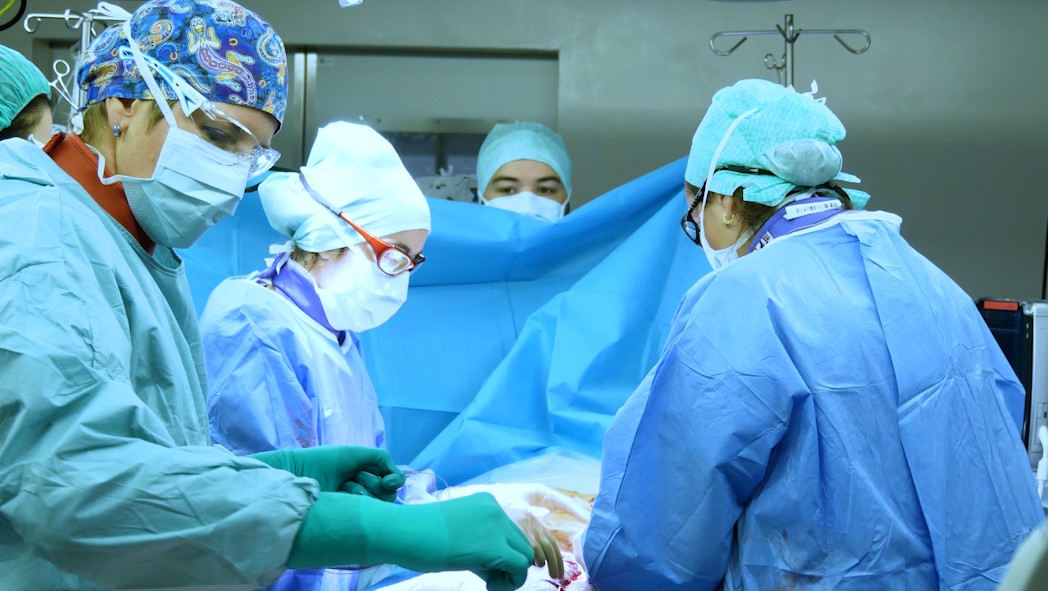 Service de chirurgie vasculaire | EHC on LinkedIn: Bienvenue sur la ... Service de chirurgie vasculaire | EHC on LinkedIn: Bienvenue sur la ...