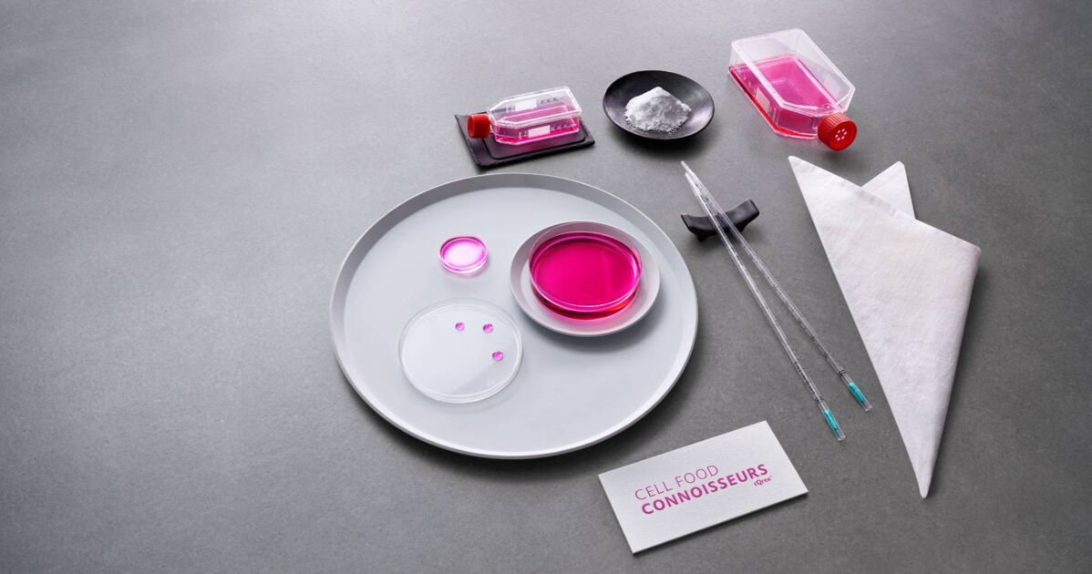 Eva Loo on LinkedIn: Evonik launches next-generation peptide for ... Eva Loo on LinkedIn: Evonik launches next-generation peptide for ...