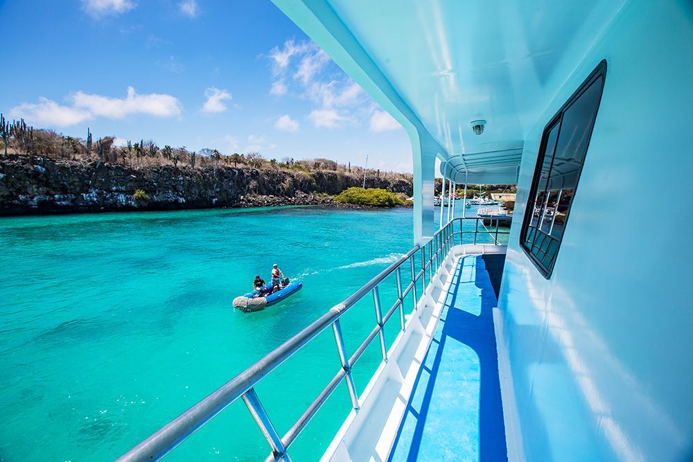 Brijit White on LinkedIn: G Adventures Brijit White on LinkedIn: G Adventures