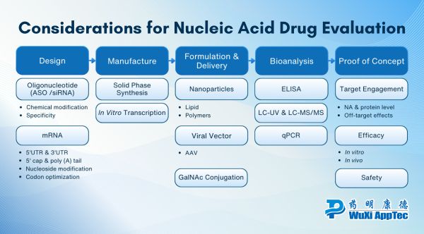 WuXi Discovery Services on LinkedIn: Anti-Tumor Nucleic Acid Drug ... WuXi Discovery Services on LinkedIn: Anti-Tumor Nucleic Acid Drug ...