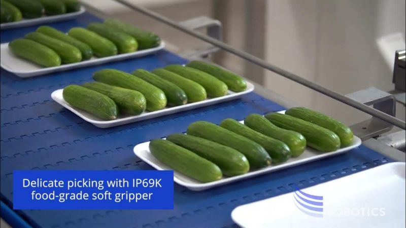 Naziro Mamodaly on LinkedIn: High-Speed Cucumber Automation with mGripAI Naziro Mamodaly on LinkedIn: High-Speed Cucumber Automation with mGripAI