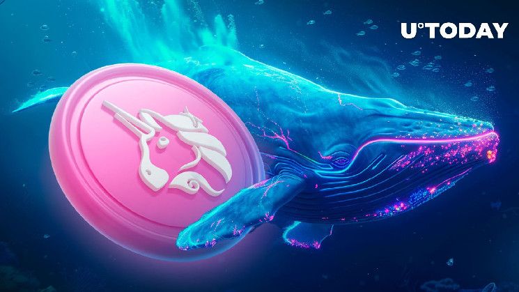 NBTC SAS on LinkedIn: #uniswap #cryptowhales #wazirxhack # ... NBTC SAS on LinkedIn: #uniswap #cryptowhales #wazirxhack # ...