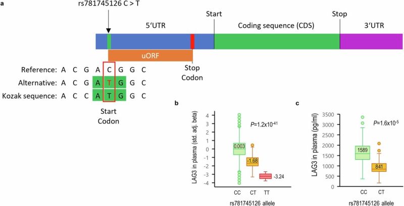 Science X Network on LinkedIn: Scientists uncover novel major risk gene ... Science X Network on LinkedIn: Scientists uncover novel major risk gene ...
