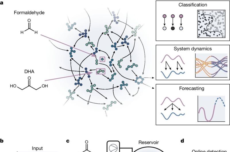 Phys.org on LinkedIn: Scientists demonstrate chemical reservoir ... Phys.org on LinkedIn: Scientists demonstrate chemical reservoir ...