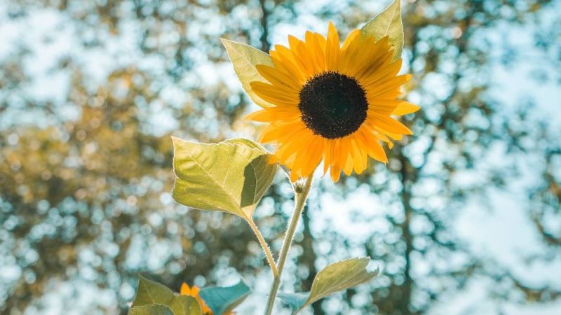 Shelley Alward-MacLeod on LinkedIn: Reject Comparison, Cultivate Joy Shelley Alward-MacLeod on LinkedIn: Reject Comparison, Cultivate Joy