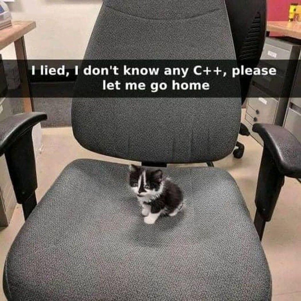 Teamo on LinkedIn: #programminghumor #softwaredeveloper #programmer Teamo on LinkedIn: #programminghumor #softwaredeveloper #programmer