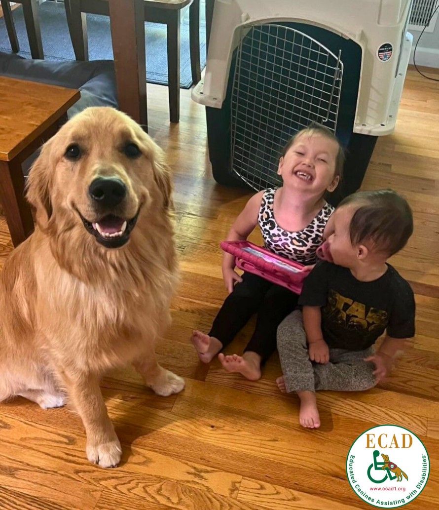 ECAD, Educated Canines Assisting with Disabilities on LinkedIn: # ... ECAD, Educated Canines Assisting with Disabilities on LinkedIn: # ...