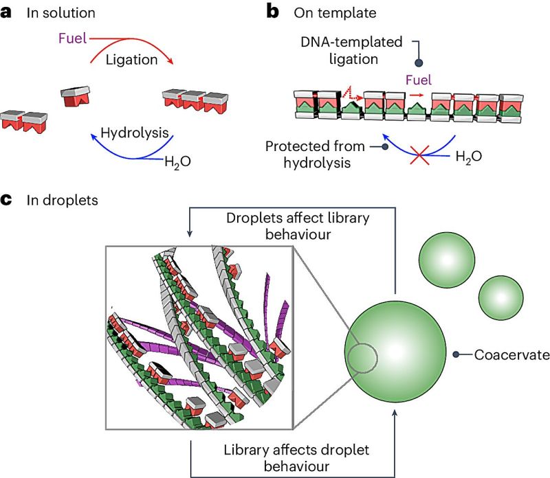 Phys.org on LinkedIn: Researchers demonstrate mechanism that may have ... Phys.org on LinkedIn: Researchers demonstrate mechanism that may have ...