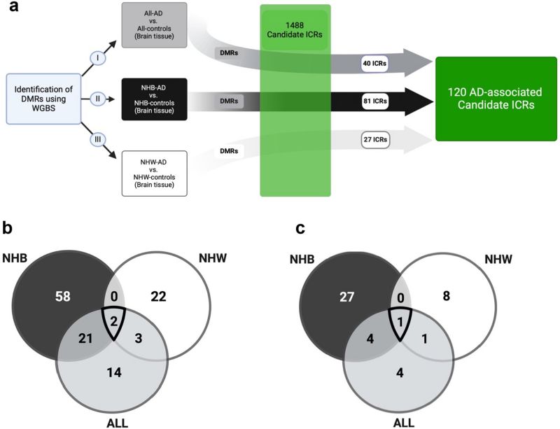 Cognifunds on LinkedIn: Study explores role of epigenetics, environment ... Cognifunds on LinkedIn: Study explores role of epigenetics, environment ...