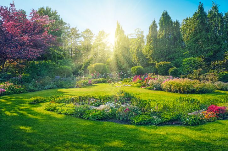 Sester Farms, Inc on LinkedIn: USDA Unveils Updated Plant Hardiness ... Sester Farms, Inc on LinkedIn: USDA Unveils Updated Plant Hardiness ...