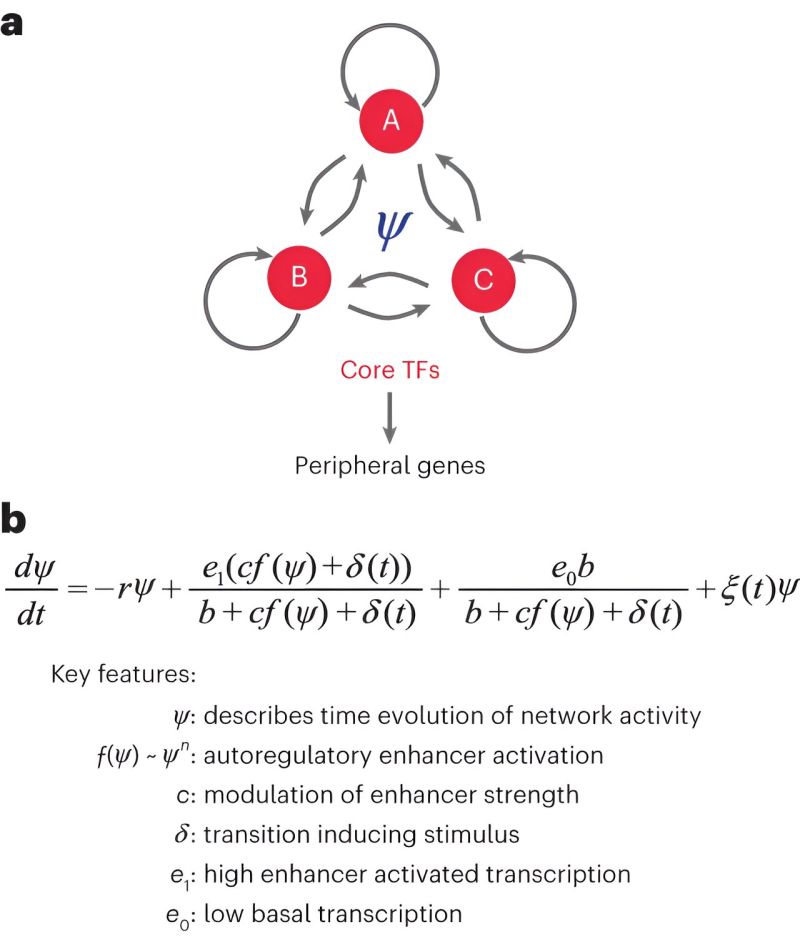 Phys.org on LinkedIn: Machine learning model could enable targeted gene ... Phys.org on LinkedIn: Machine learning model could enable targeted gene ...