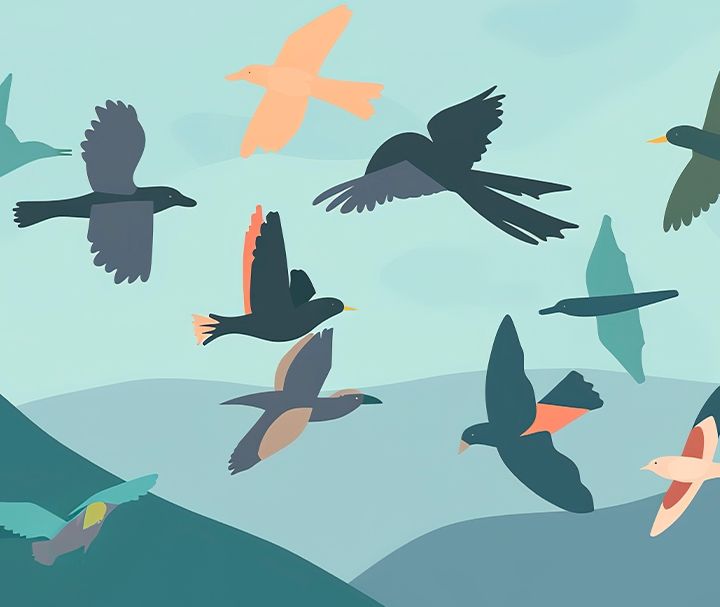 John Tarantino on LinkedIn: 5 Things to Consider When Migrating from ... John Tarantino on LinkedIn: 5 Things to Consider When Migrating from ...