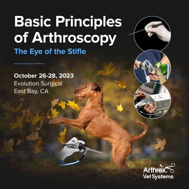 Arthrex Vet Systems on LinkedIn: #arthrexvetsystems #arthrex # ... Arthrex Vet Systems on LinkedIn: #arthrexvetsystems #arthrex # ...