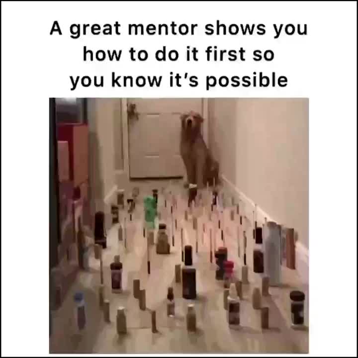 Colleen McAbee on LinkedIn: A Greater Mentor Shows What's Possible Colleen McAbee on LinkedIn: A Greater Mentor Shows What's Possible