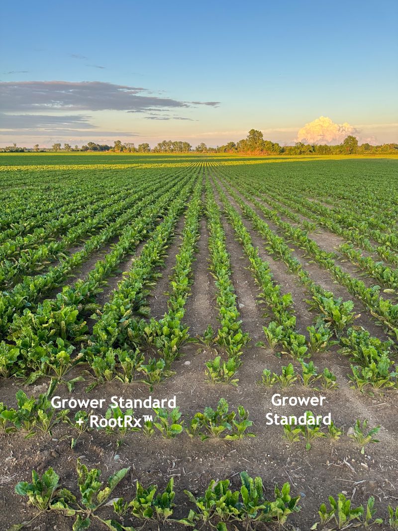 Redox Bio-Nutrients on LinkedIn: *SEE* the difference with Redox Bio ... Redox Bio-Nutrients on LinkedIn: *SEE* the difference with Redox Bio ...