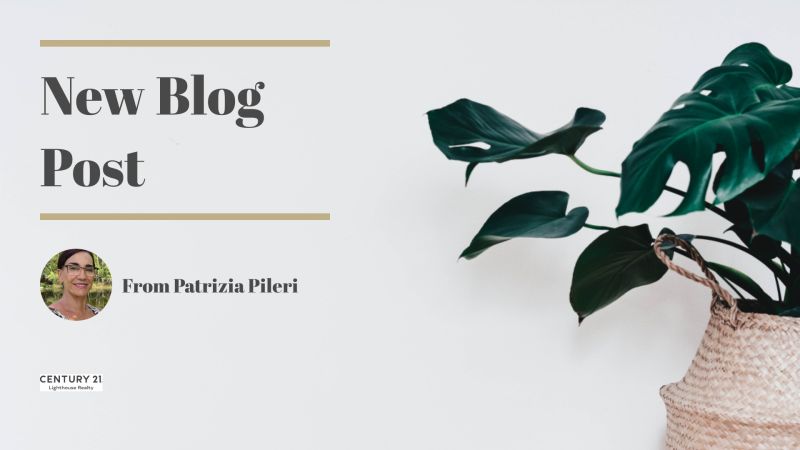 Patrizia Pileri on LinkedIn: Up-and-Coming Kitchen Trends Patrizia Pileri on LinkedIn: Up-and-Coming Kitchen Trends