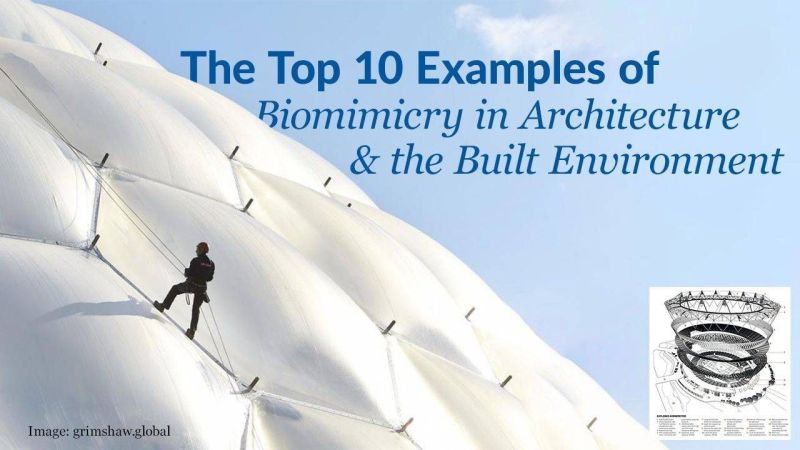 Learn Biomimicry on LinkedIn: The Top 10 Real World Examples of ... Learn Biomimicry on LinkedIn: The Top 10 Real World Examples of ...