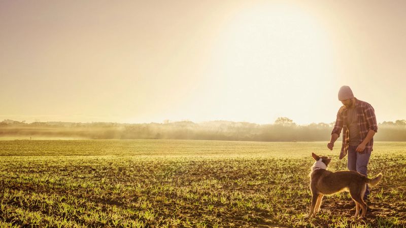 Felix End on LinkedIn: Real Pet Food Automates & Integrates ... Felix End on LinkedIn: Real Pet Food Automates & Integrates ...