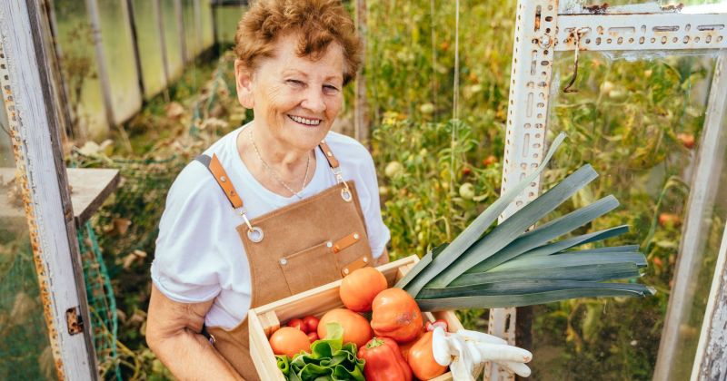 Culinary Services Group on LinkedIn: Is Fresh Food Better Than Processed? Culinary Services Group on LinkedIn: Is Fresh Food Better Than Processed?