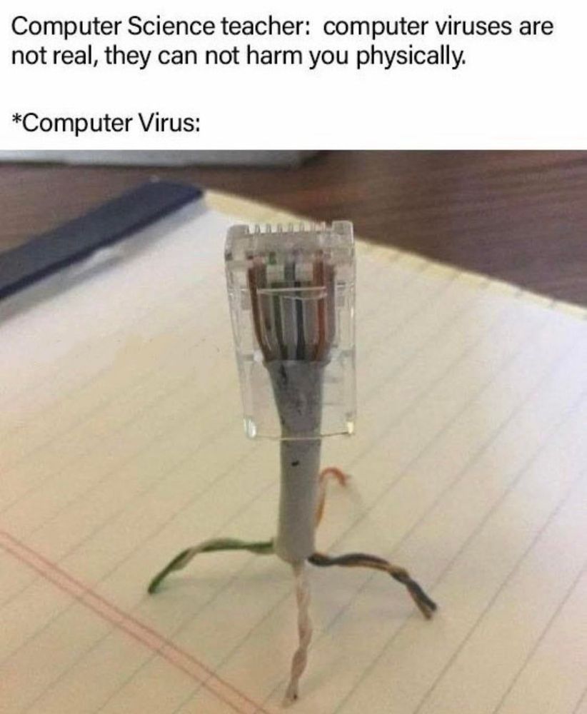 James Phoenix on LinkedIn: #understandingdata #codingjokes #codingmemes ... James Phoenix on LinkedIn: #understandingdata #codingjokes #codingmemes ...