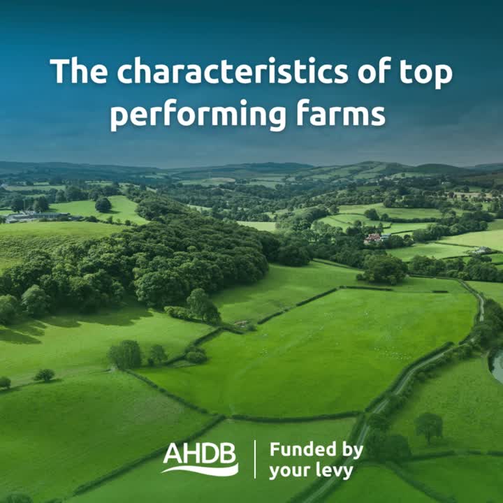 Amandeep Kaur Purewal on LinkedIn: Great piece of work by Graham Redman ... Amandeep Kaur Purewal on LinkedIn: Great piece of work by Graham Redman ...