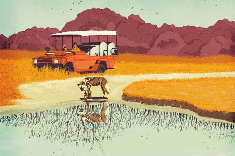 New Scientist on LinkedIn: Climate change isn't only hammering species ... New Scientist on LinkedIn: Climate change isn't only hammering species ...