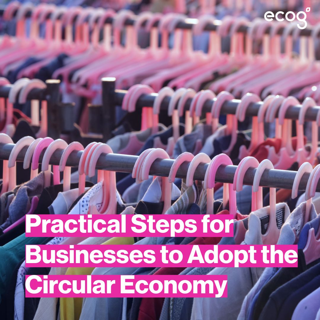 ecog Limited on LinkedIn: Practical Steps for Businesses to Adopt the ... ecog Limited on LinkedIn: Practical Steps for Businesses to Adopt the ...