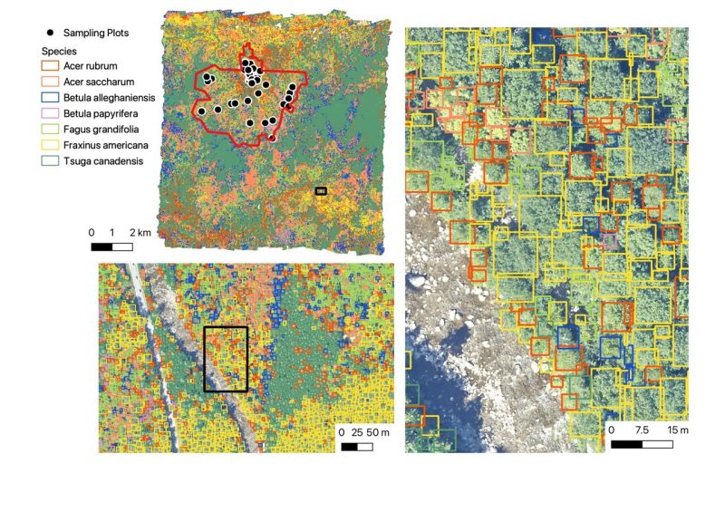 Phys.org on LinkedIn: Scientists use machine learning to predict ... Phys.org on LinkedIn: Scientists use machine learning to predict ...