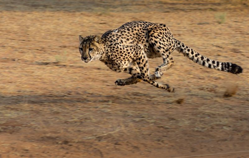 Java Challengers on LinkedIn: Quicksort Algorithm with Java - Java ... Java Challengers on LinkedIn: Quicksort Algorithm with Java - Java ...