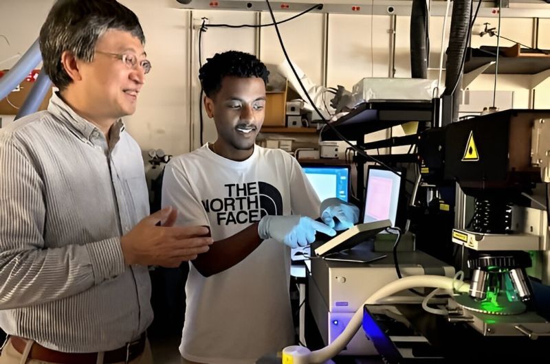 Phys.org on LinkedIn: Engineering team discovers new high-performance ... Phys.org on LinkedIn: Engineering team discovers new high-performance ...