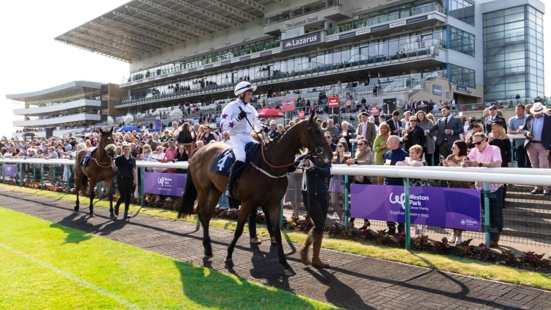 Weston Park Cancer Charity on LinkedIn: Ant Marketing Weston Park ... Weston Park Cancer Charity on LinkedIn: Ant Marketing Weston Park ...