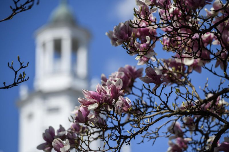 The Johns Hopkins University on LinkedIn: Johns Hopkins graduate ... The Johns Hopkins University on LinkedIn: Johns Hopkins graduate ...