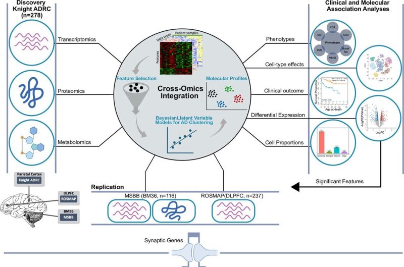 Phys.org on LinkedIn: Multi-omics analysis identifies molecularly ... Phys.org on LinkedIn: Multi-omics analysis identifies molecularly ...