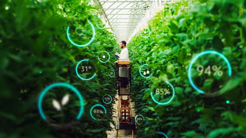 Grant Nisbet on LinkedIn: Expert predicts AI fuelled “fourth ... Grant Nisbet on LinkedIn: Expert predicts AI fuelled “fourth ...