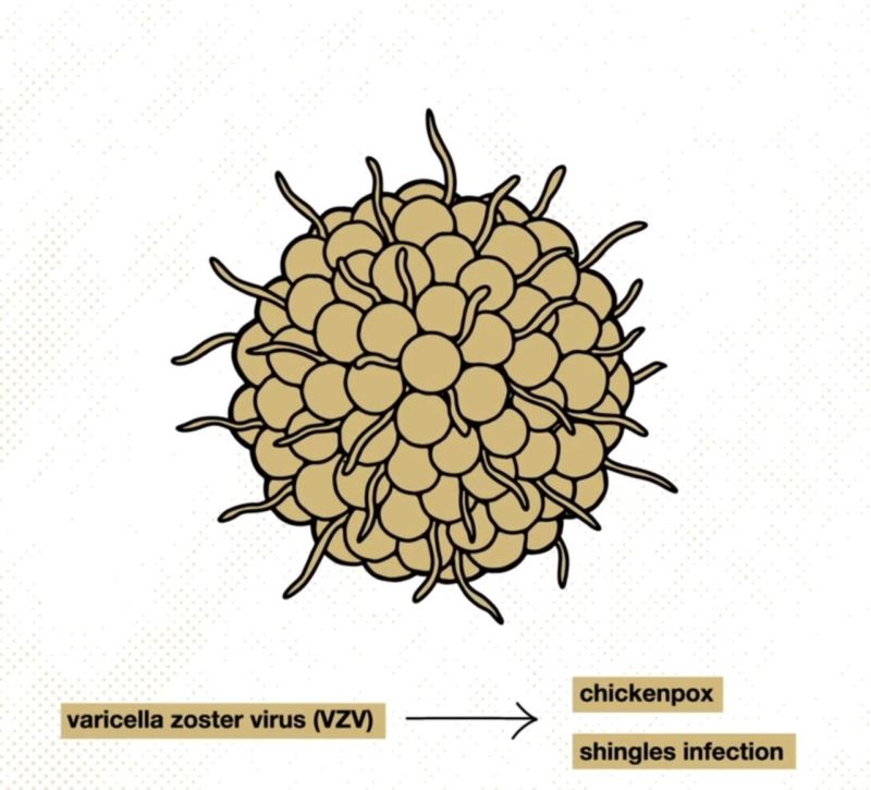 Medical Xpress on LinkedIn: Scientists identify key protein behind ... Medical Xpress on LinkedIn: Scientists identify key protein behind ...