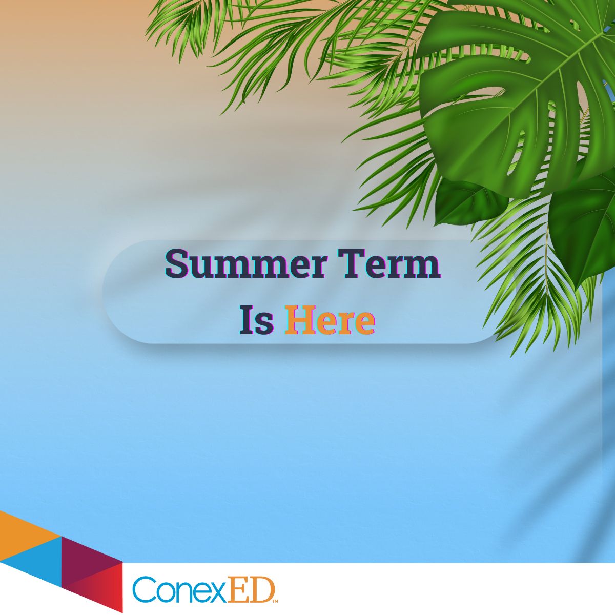 ConexED on LinkedIn: #studentservices ConexED on LinkedIn: #studentservices