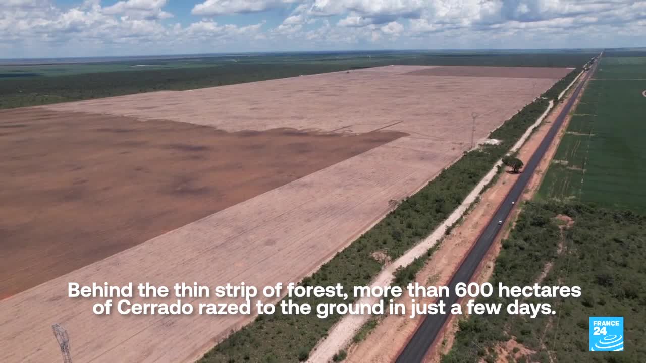 Sébastien Garnier on LinkedIn: 🔥🌳 Excellent in-depth investigation by ... Sébastien Garnier on LinkedIn: 🔥🌳 Excellent in-depth investigation by ...