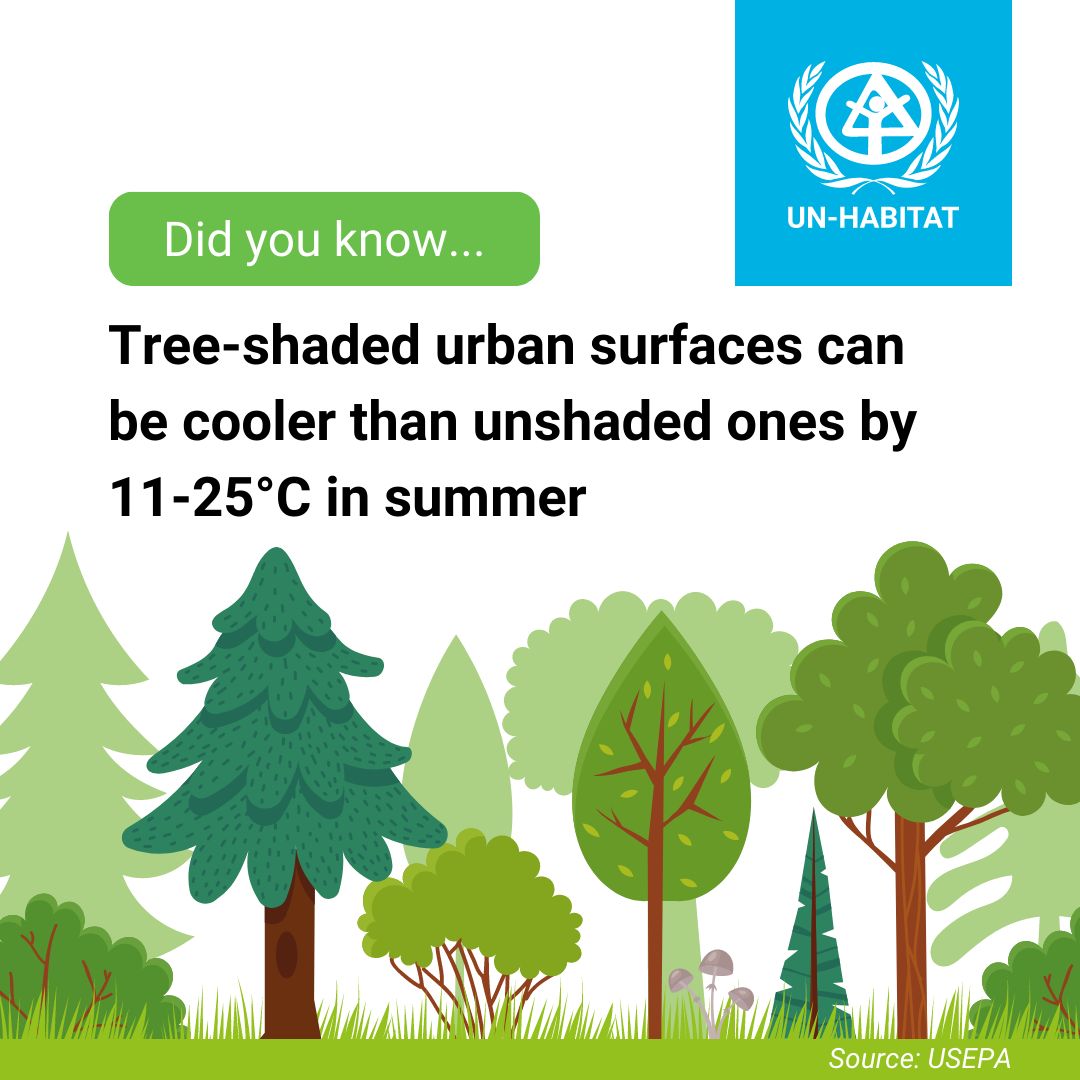 UN-Habitat (United Nations Human Settlements Programme) on LinkedIn: 🌳🏙 ... UN-Habitat (United Nations Human Settlements Programme) on LinkedIn: 🌳🏙 ...