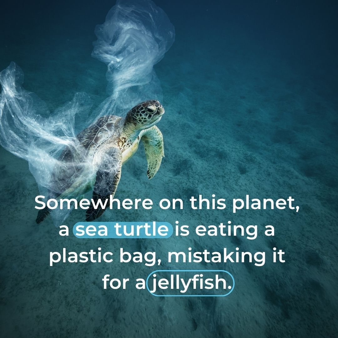 Bottleless Nation on LinkedIn: Animals can't distinguish between food ... Bottleless Nation on LinkedIn: Animals can't distinguish between food ...