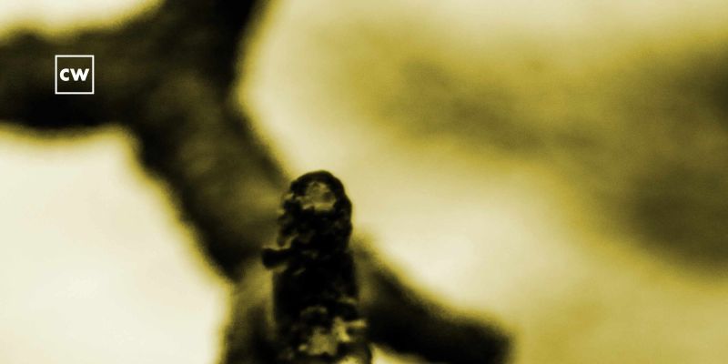 N2K | CyberWire on LinkedIn: What up in the underworld’s C2C markets ... N2K | CyberWire on LinkedIn: What up in the underworld’s C2C markets ...