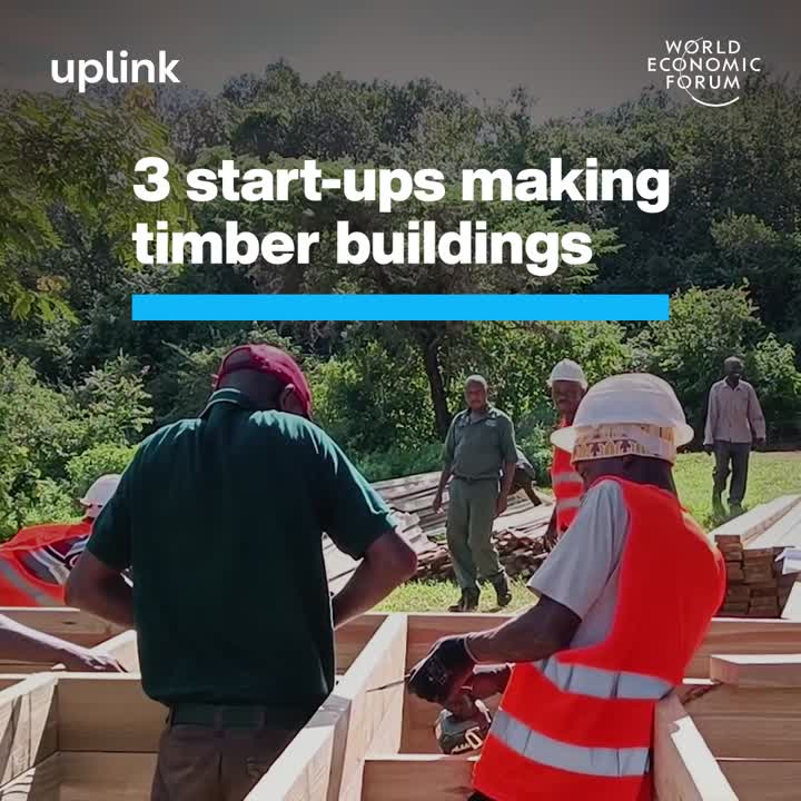 How mass timber construction is booming | Sowmya Rajamahanthi posted on ... How mass timber construction is booming | Sowmya Rajamahanthi posted on ...