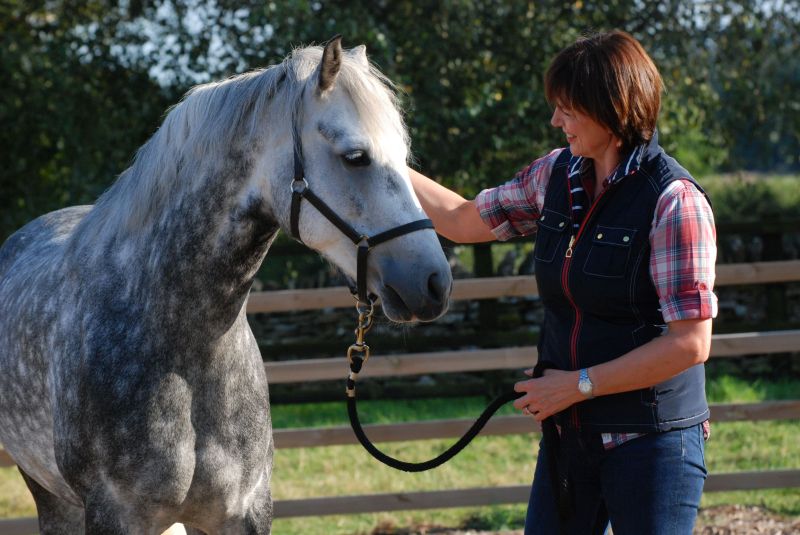 Lisa Brice on LinkedIn: Horses, HeartMath and Heart Centred Leadership ... Lisa Brice on LinkedIn: Horses, HeartMath and Heart Centred Leadership ...