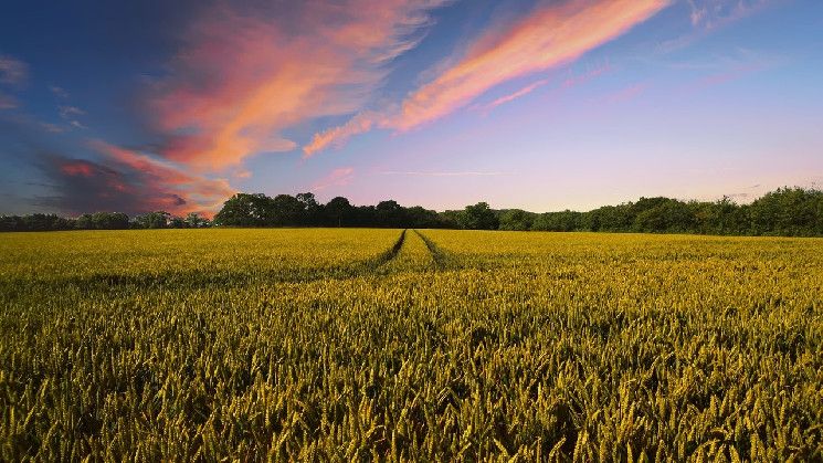 NBTC SAS on LinkedIn: #agridex #solana #tokenization # ... NBTC SAS on LinkedIn: #agridex #solana #tokenization # ...