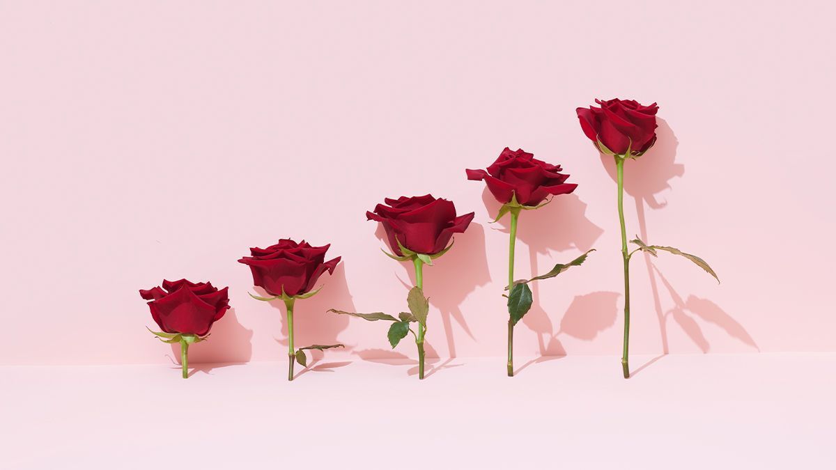 Andres Waldraff on LinkedIn: Make Your Values Mean Something Andres Waldraff on LinkedIn: Make Your Values Mean Something